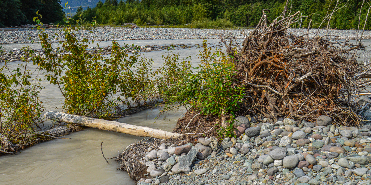 Nurturing Life | Salish Magazine