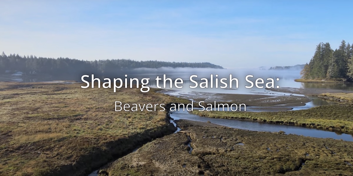 Shaping the Salish Sea | Salish Magazine